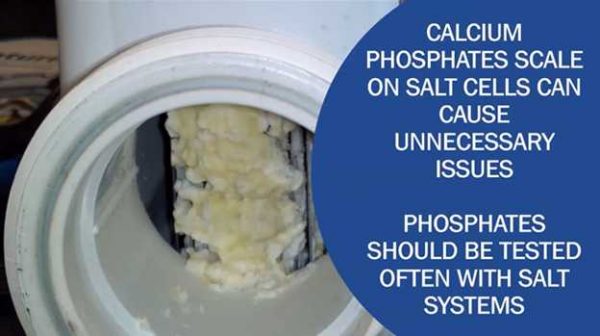 Why Phosphates are Bad for Your Pool - Rin Robyn Pools®
