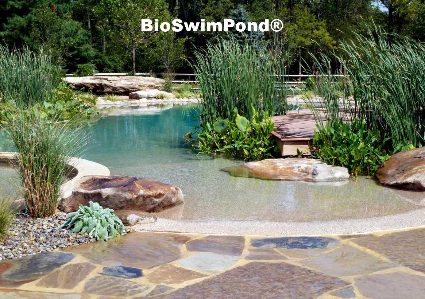 Rin Robyn Pools® | Hot Tubs, Swim Spas & Pools - Since 1958